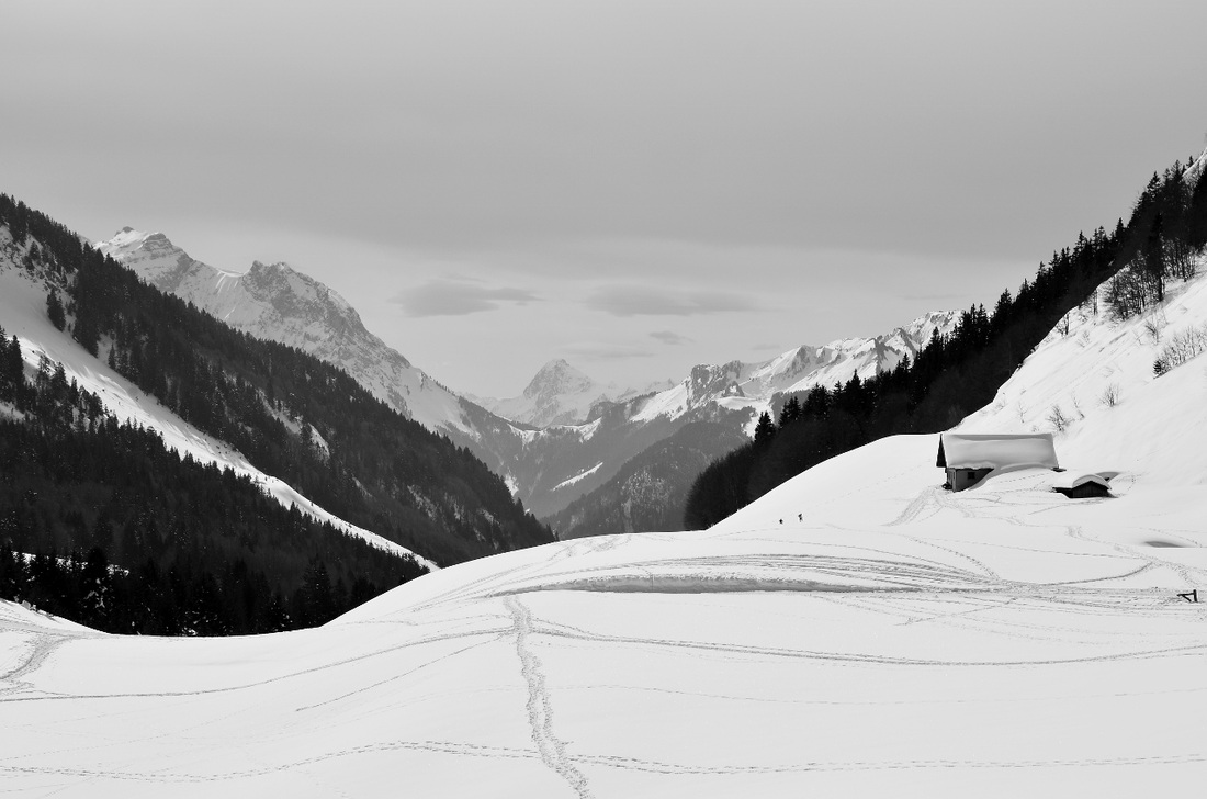 Art Photos - Roger Pedat Photography